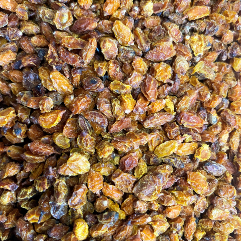 Sea Buckthorn Dried Berries-Organic 250g, 500g, 1KG- Hunza - hunzastore.com